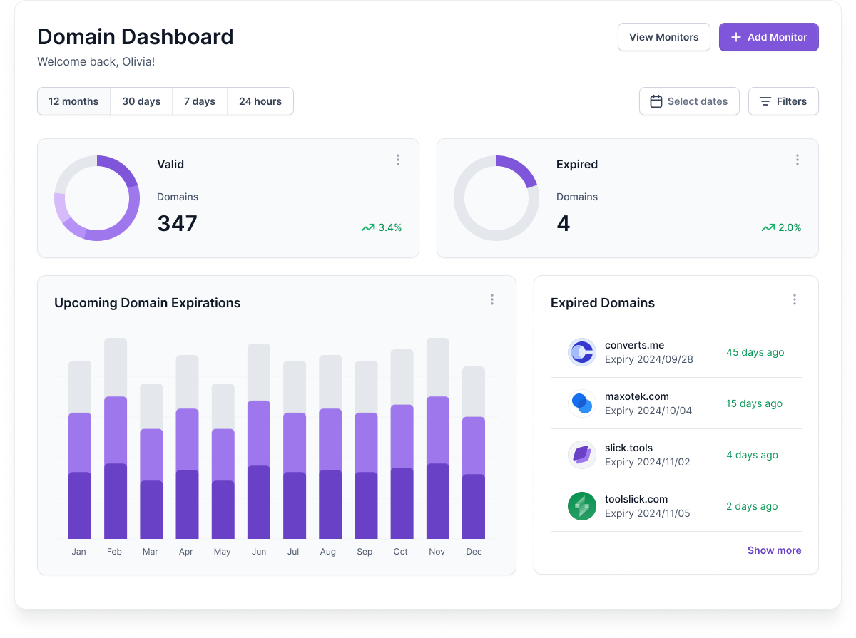 Domain Monitoring - Pinger Man